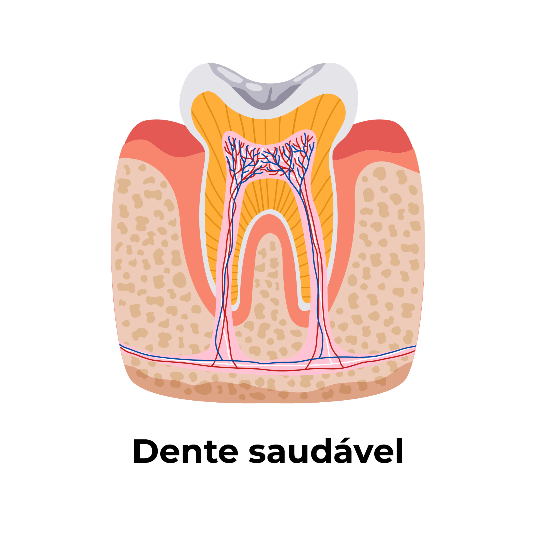 Entenda tudo sobre endodontia: tratamento de canal